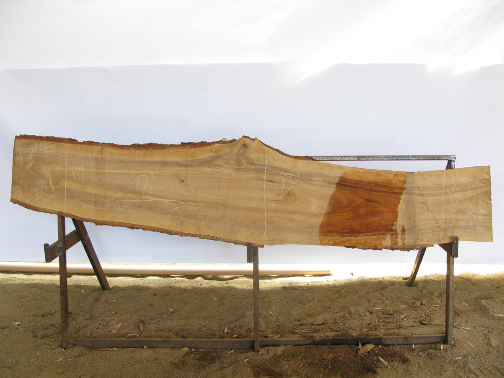 Birch A Slab 3" x 16" x 8' BIR-294 – North on Sixty