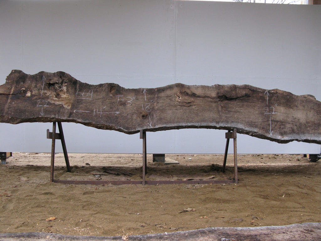 Spalted Birch B Slab 3" x 21" x 14' SPB-669 – North on Sixty